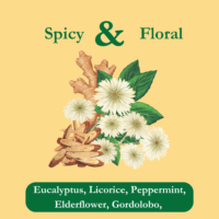 Bronco Té® – Tadin Herb & Tea Co.