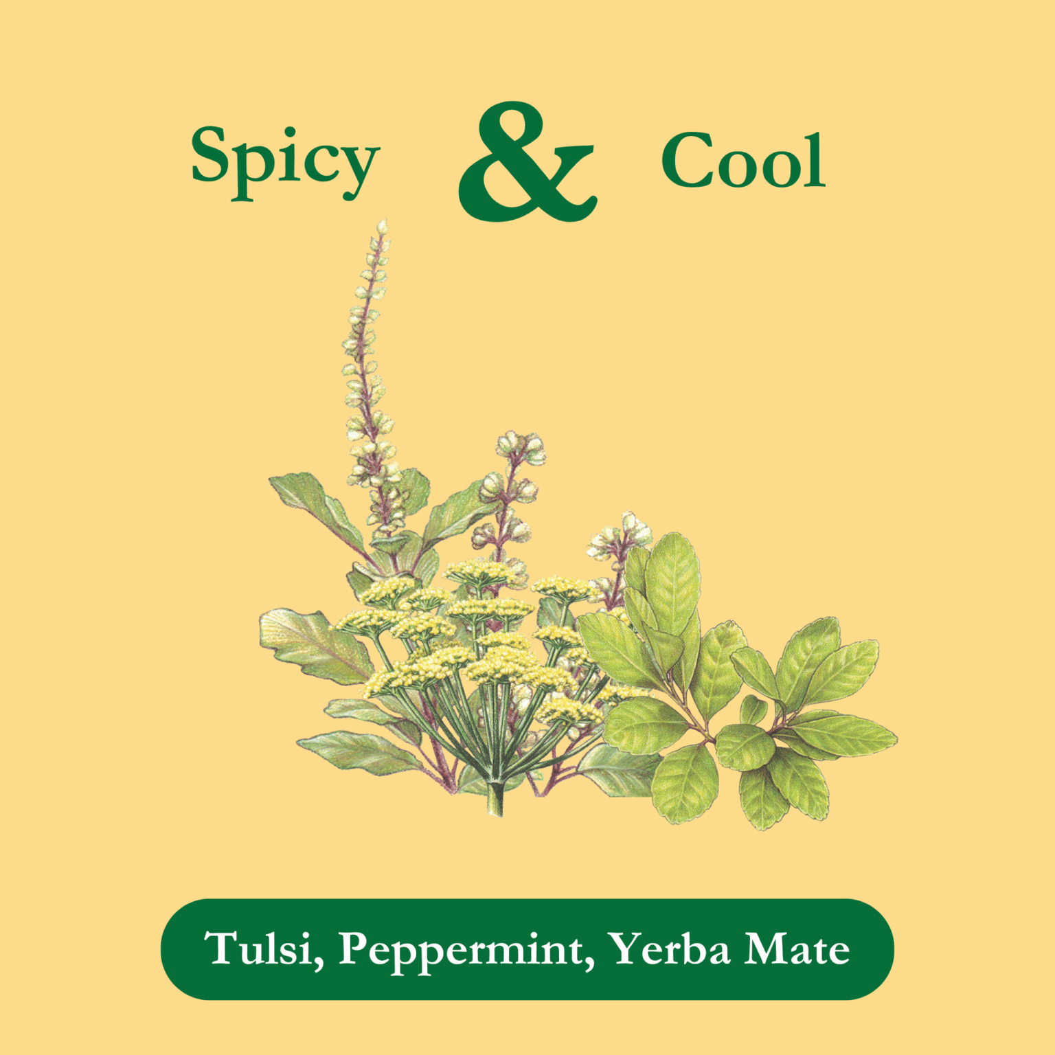 Organic Slim Mate® – Tadin Herb & Tea Co.