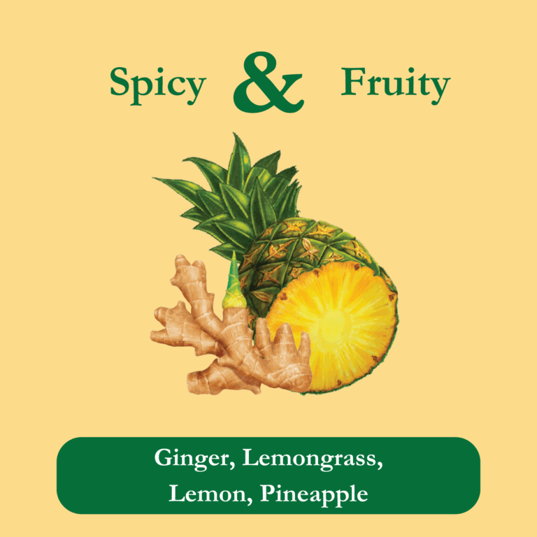 Pineapple Ginger Tea – Tadin Herb & Tea Co.